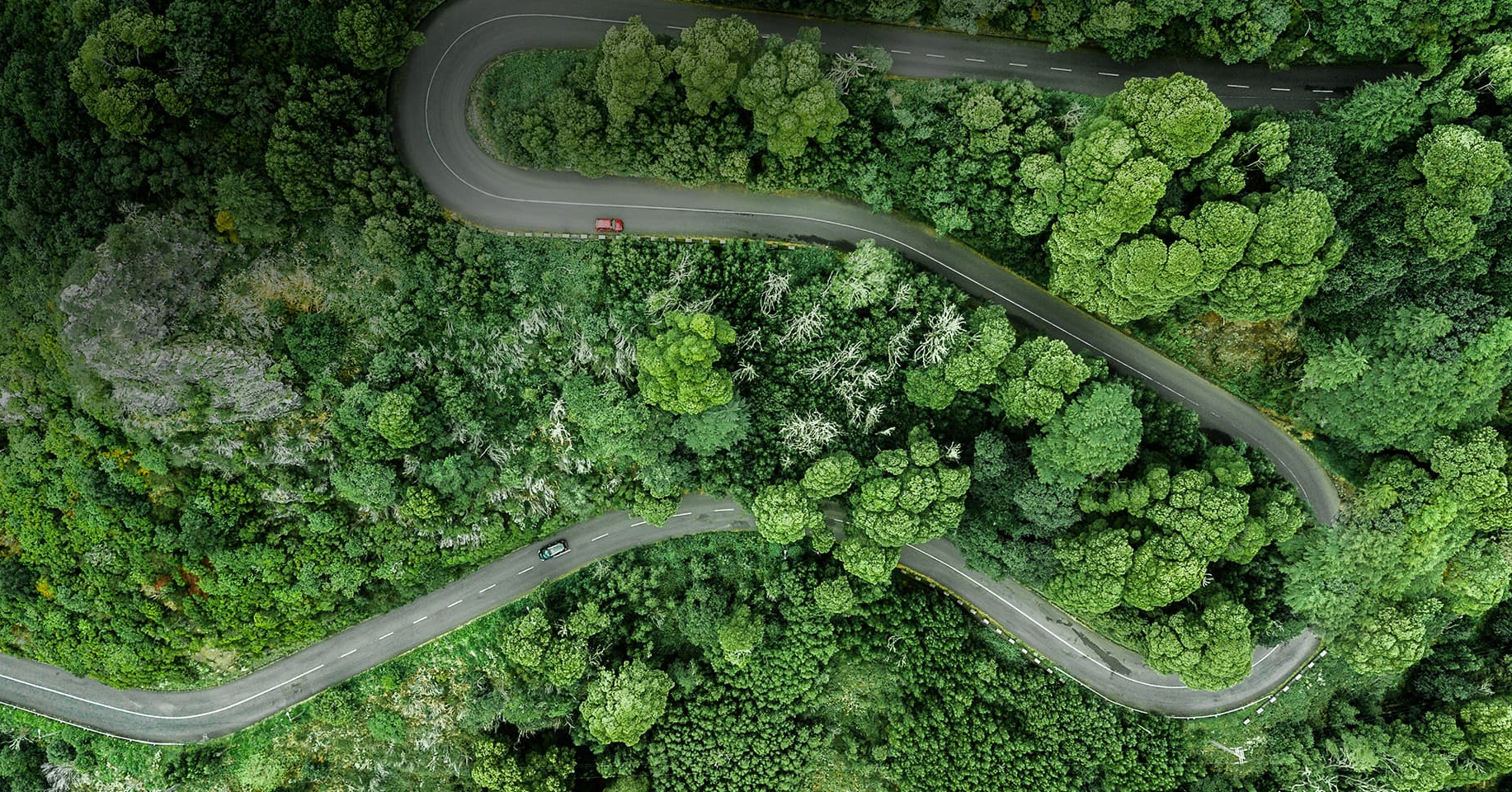 What drives us | MHP – A Porsche Company